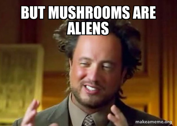 But mushrooms are aliens - Ancient Aliens - Crazy History Channel Guy ...