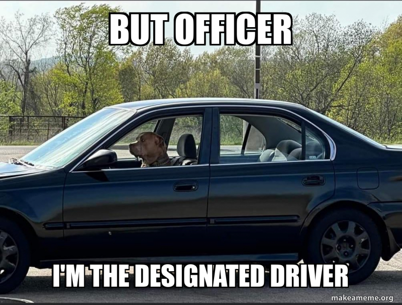 But officer i'm the designated driver Meme Generator