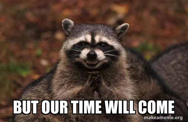 But our time will come - Evil Plotting Raccoon Meme Generator