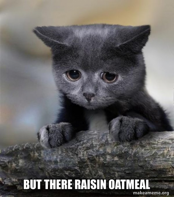 But there raisin oatmeal - Confession Cat Meme Generator