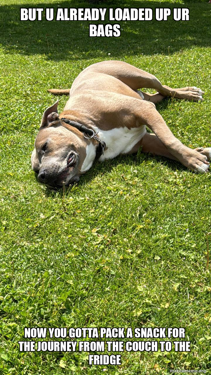 BUT U ALREADY LOADED UP UR BAGS Now you gotta pack a snack for the ...