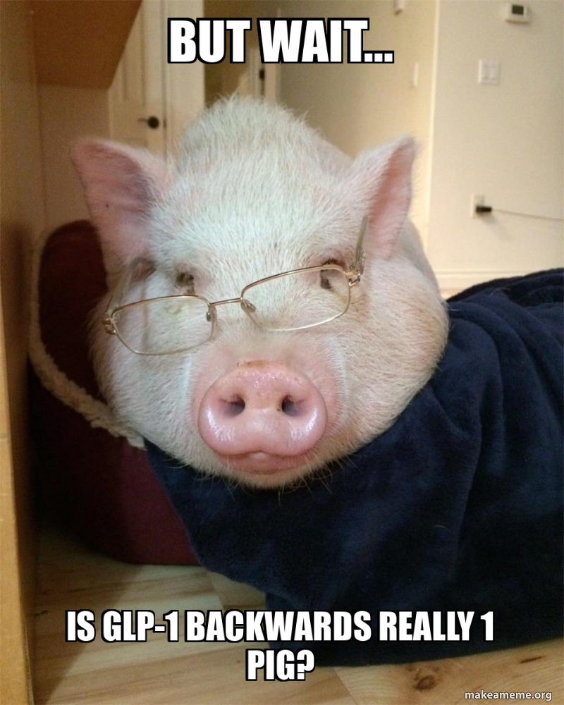 But wait... is GLP-1 backwards really 1 PIG? Meme Generator