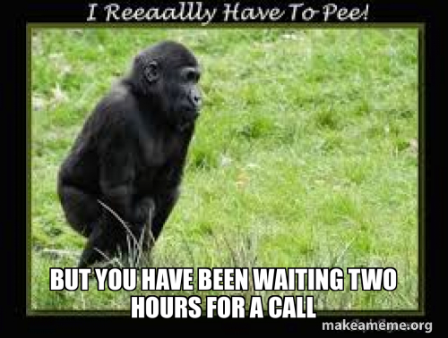But you have been waiting two hours for a call Meme Generator