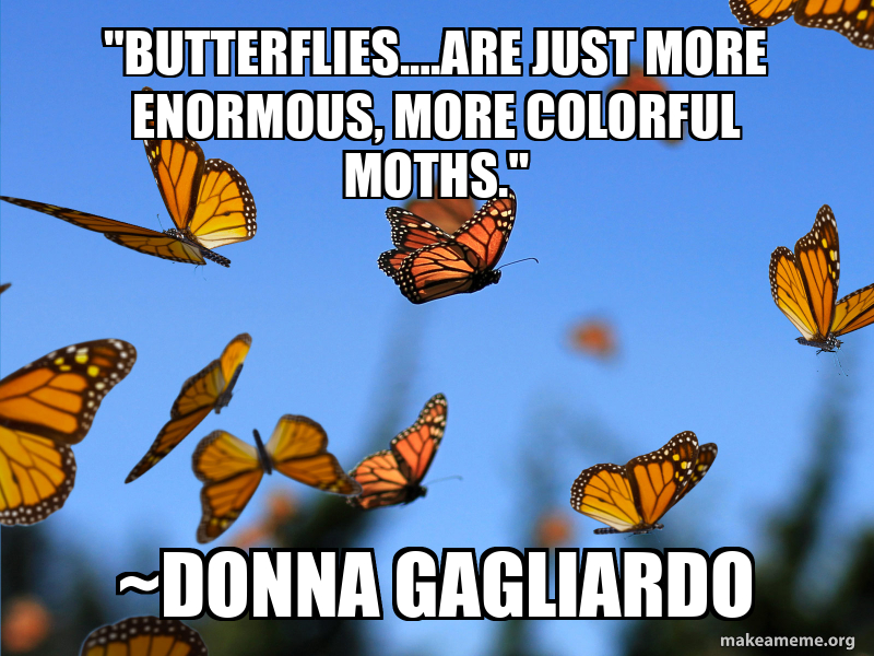 "Butterflies....are just more enormous, more colorful moths." ~Donna ...