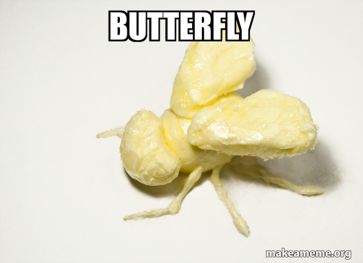 Butterfly Meme Generator
