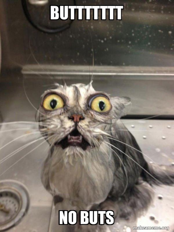 BUTTTTTTT NO BUTS - Cat bath Meme Generator