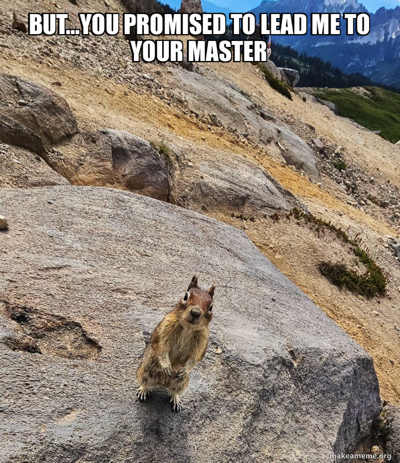 But…you promised to lead me to your master Meme Generator