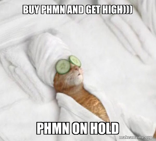 Buy PHMN and get high))) PHMN on Hold - Pampered Cat Meme Meme Generator
