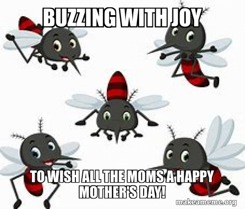 Buzzing with joy To wish all the moms a happy mother's day! Meme Generator