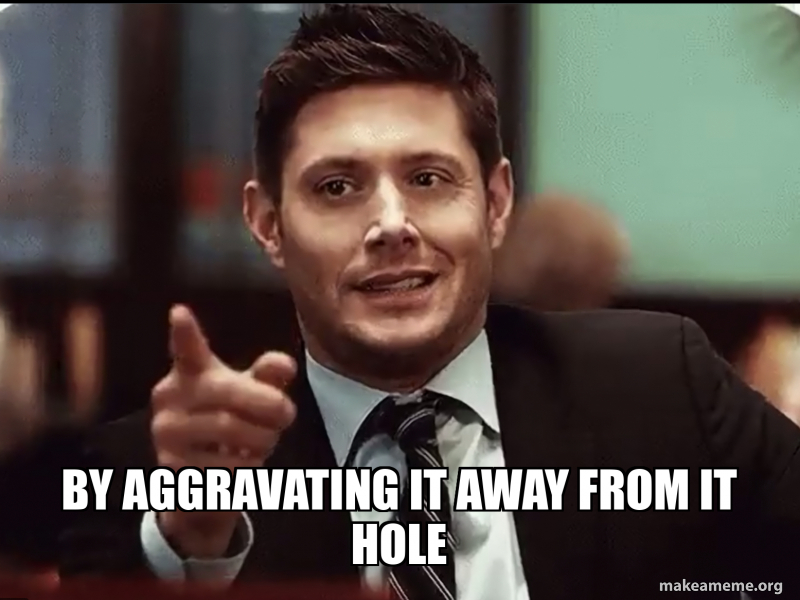 By AGGRAVATING it away from it Hole Meme Generator