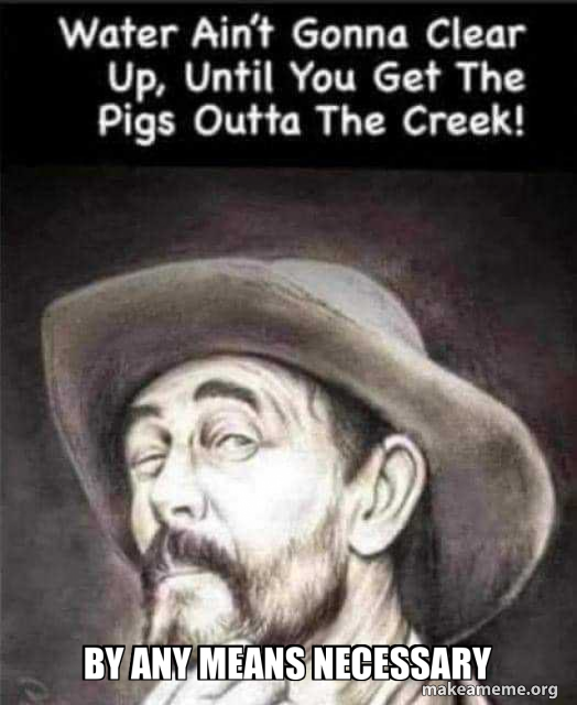 BY ANY MEANS NECESSARY Meme Generator