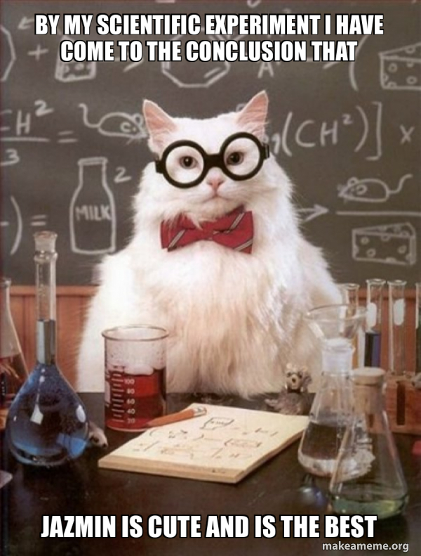 by my scientific experiment i have come to the conclusion that jazmin ...