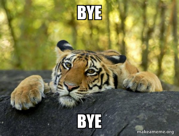 BYE BYE - Confession Tiger Meme Generator