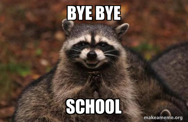 bye bye school - Evil Plotting Raccoon Meme Generator