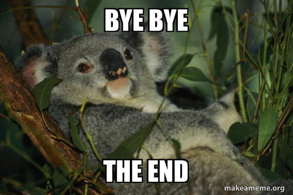 Bye bye The end - Laid Back Koala Meme Generator