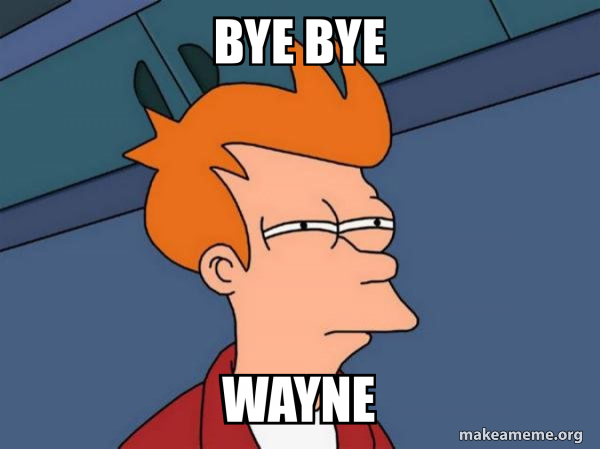 Bye bye Wayne - Futurama Fry Meme Generator