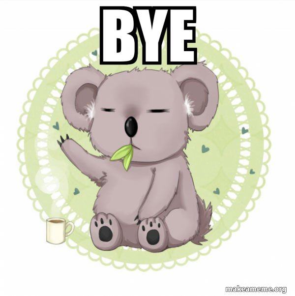 BYE - Aussie Koala doing the night shift Meme Generator