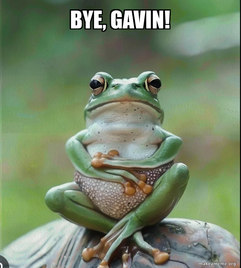 Bye, Gavin! Meme Generator