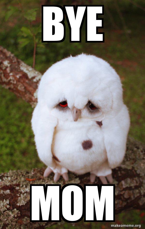 bye mom - Sad Owl Meme Generator