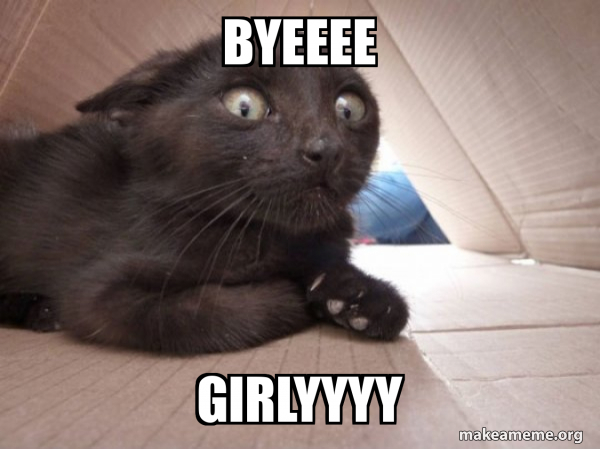 byeeee girlyyyy - Schitzo Cat Meme Generator