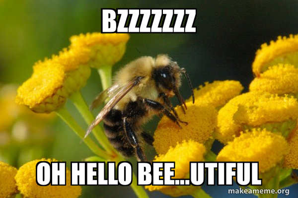 BZZZZZZZ Oh hello Bee...utiful - Good Guy Bee Meme Generator
