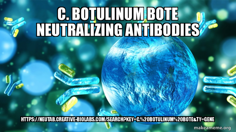 C. botulinum botE neutralizing antibodies https://neutab.creative ...
