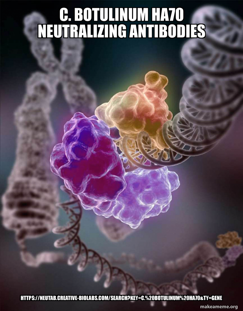 C. botulinum HA70 neutralizing antibodies https://neutab.creative ...