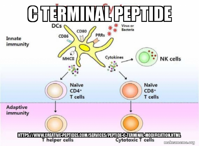 c terminal peptide https://www.creative-peptides.com/services/peptide-c ...