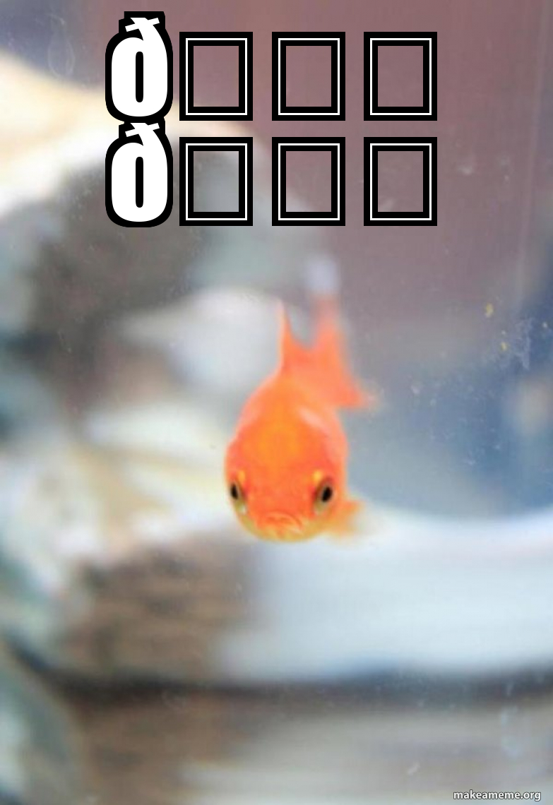 ðŸ Ÿ ðŸ’‹ - Grumpy Fish Meme Generator