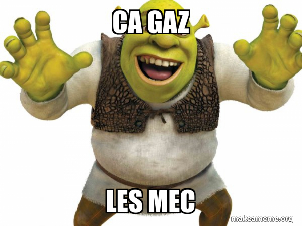 ca gaz les mec - Shrek Meme Generator