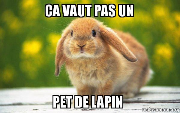 Memes De Lapin