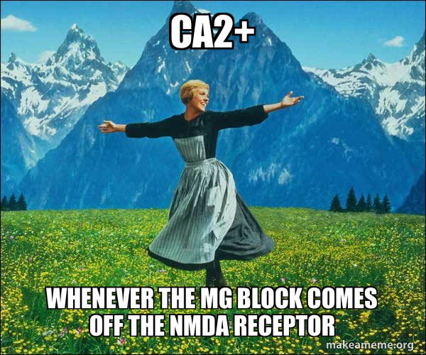 Ca2+ whenever the Mg block comes off the NMDA Receptor - Sound of Music ...