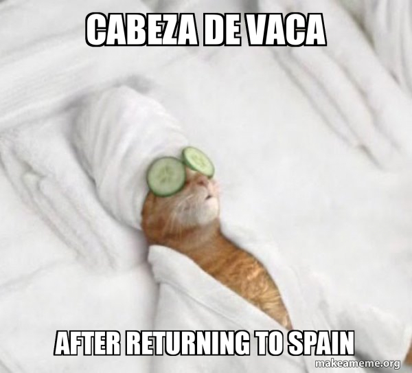 cabeza de vaca after returning to spain - Pampered Cat Meme Meme Generator