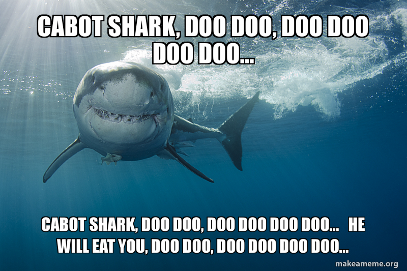 Cabot shark, doo doo, doo doo doo doo... Cabot shark, doo doo, doo doo ...