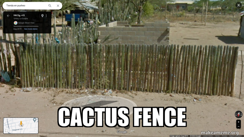 CACTUS FENCE Meme Generator