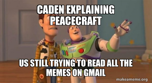 Caden explaining Peacecraft Us still trying to read all the memes on ...