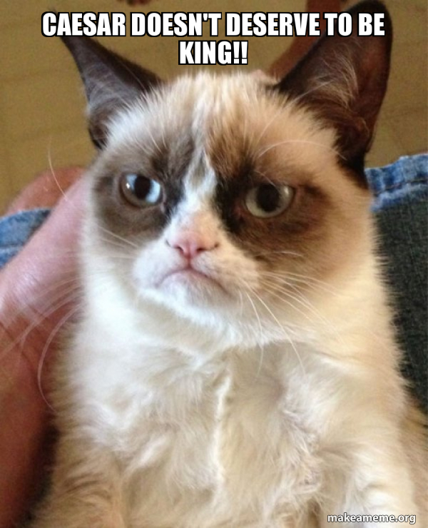Caesar doesn't deserve to be king!! - Grumpy Cat Meme Generator