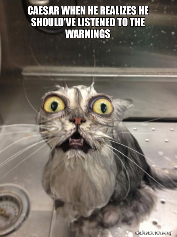 Caesar when he realizes he should've listened to the warnings - Cat ...