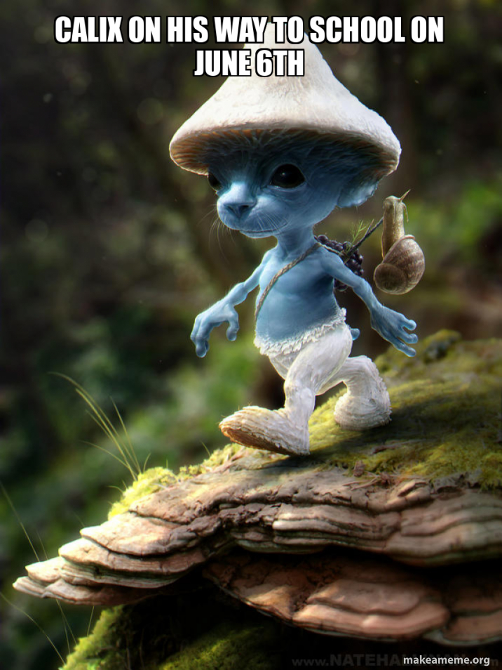 Calix on his way to school on june 6th Meme Generator