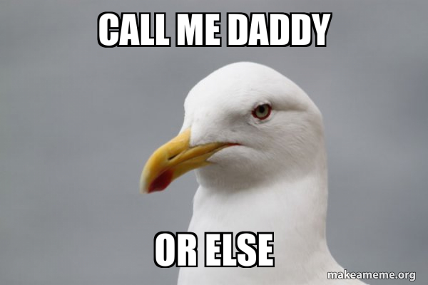 call me daddy or else - Stuff That Didn't Happen Seagull Meme Generator
