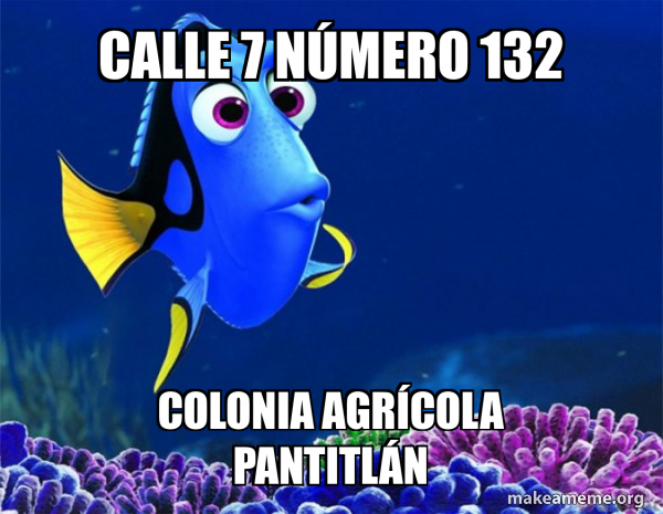 Calle 7 número 132 COLONIA AGRÍCOLA PANTITLÁN - Dory from Nemo (5 ...