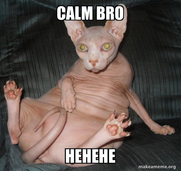 calm bro hehehe - Hairless Cat Meme Generator