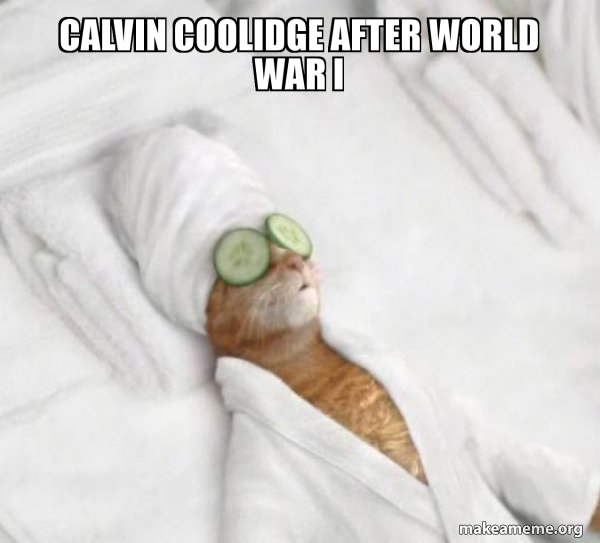 Calvin Coolidge After World War I - Pampered Cat Meme Meme Generator