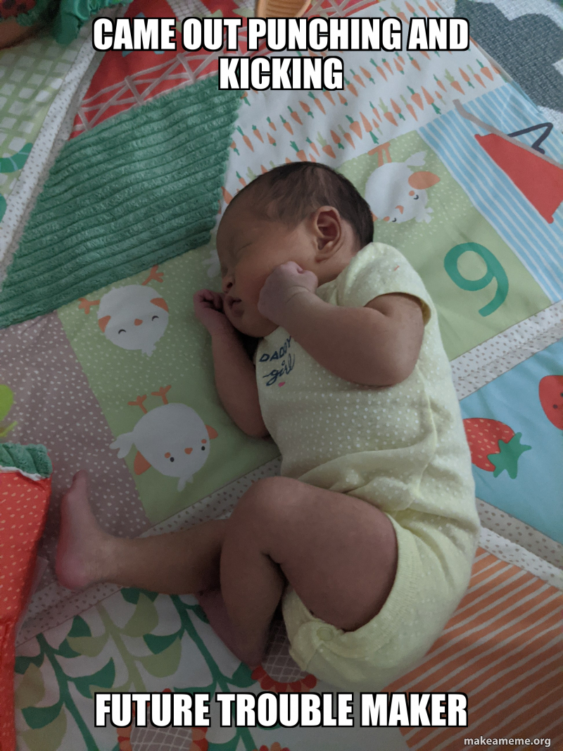 Came out punching and kicking Future trouble maker Meme Generator