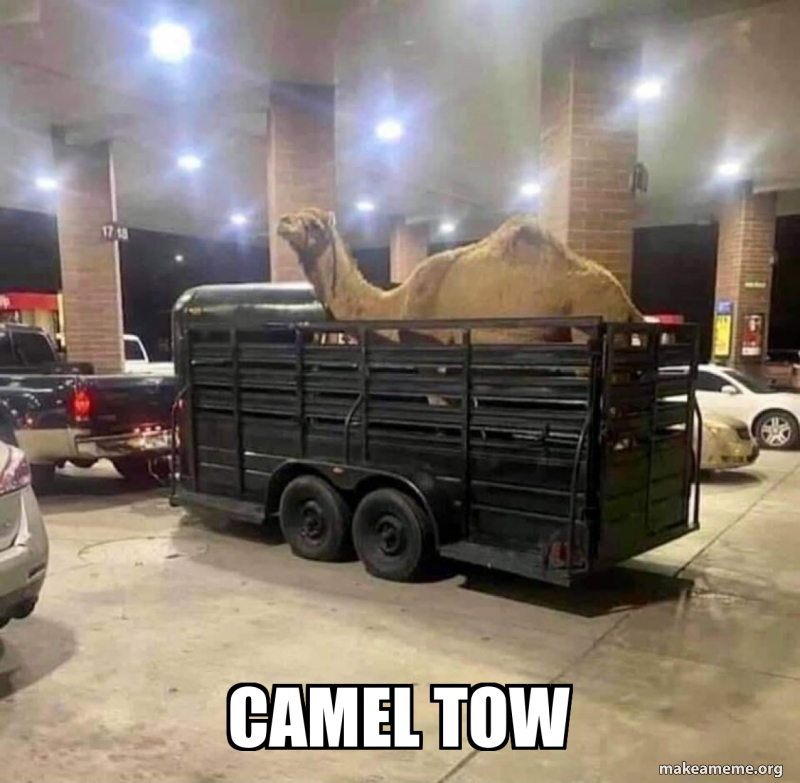 CAMEL TOW Meme Generator