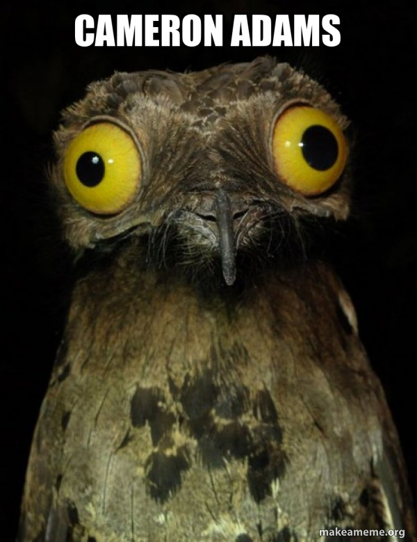 Cameron Adams - Weird Stuff I do Potoo Meme Generator