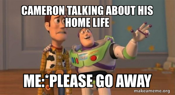 Cameron talking about his home life Me:*PlEaSe Go AwAy - Buzz and Woody ...