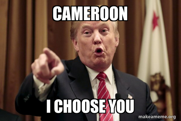 Cameroon I choose you - Donald Trump Says Meme Generator