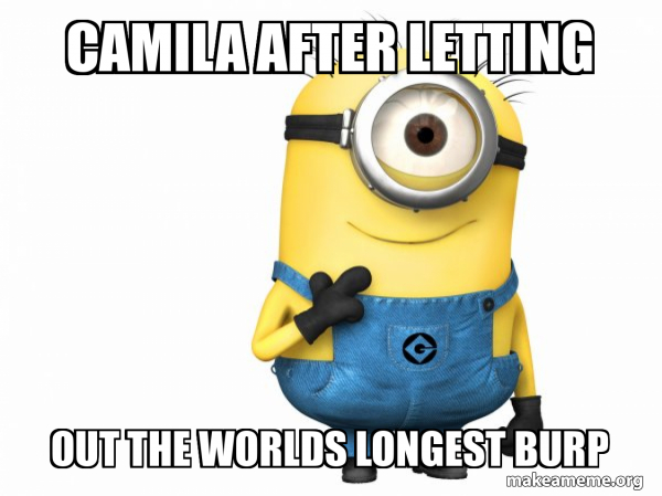 camila after letting out the worlds longest burp - Thoughtful Minion ...