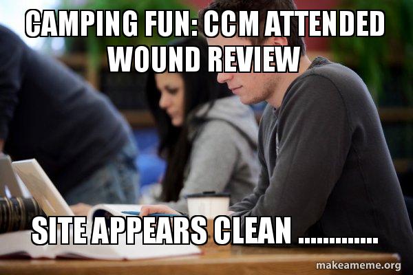 CAMPING FUN: CCM attended wound review site appears clean ...